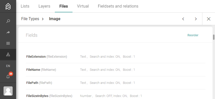 Display Pattern: File Metadata in Layer Fields